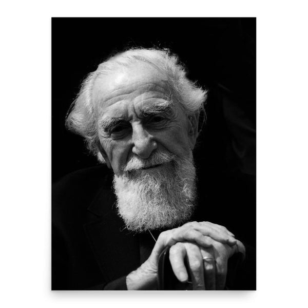 Al Hirschfeld Poster Print — Museum-Quality 18"x24" – Noveltees