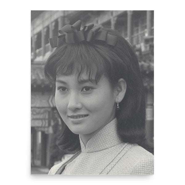 Chang Mei-yao Poster Print — Museum-Quality 18"x24" – Noveltees