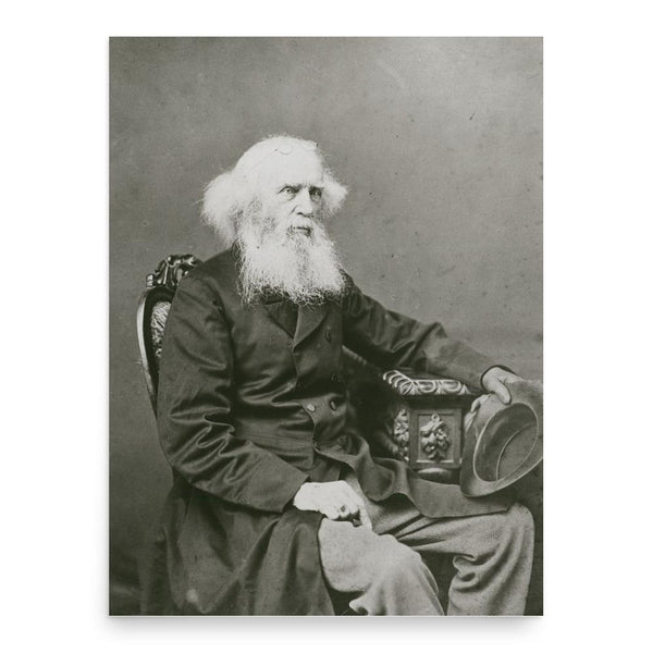 Charles Hervey Bagot Poster Print — Museum-Quality 18"x24" – Noveltees