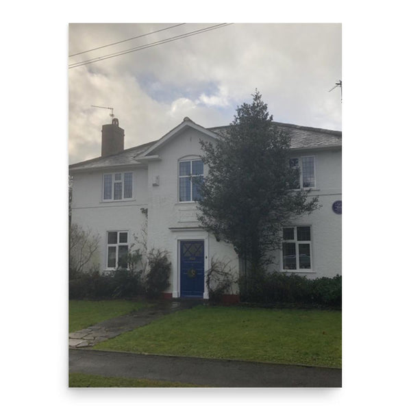 Cyril Fox Poster Print — Museum-Quality 18"x24" – Noveltees