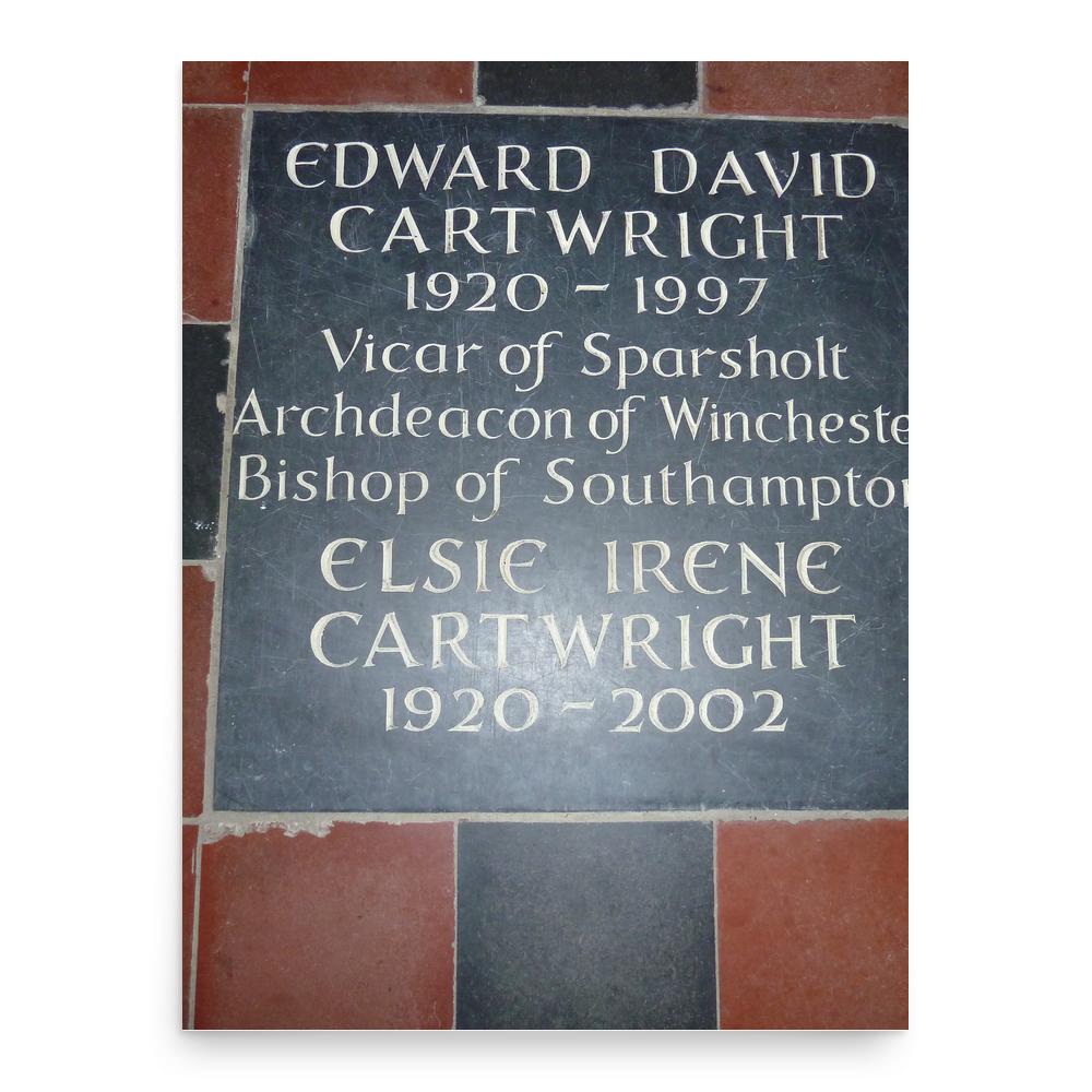 David Cartwright Poster Print — Museum-Quality 18"x24" – Noveltees