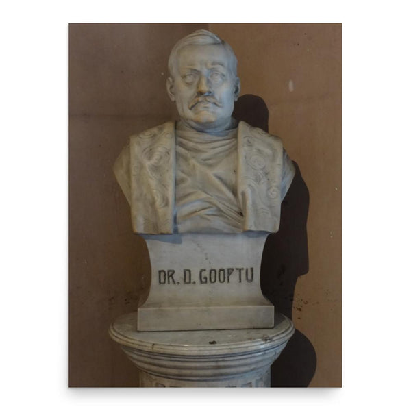 Dwarkanath Gooptu Poster Print — Museum-Quality 18"x24" – Noveltees
