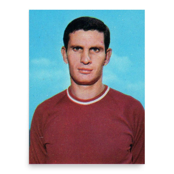 Giorgio Dellagiovanna Poster Print — Museum-Quality 18"x24" – Noveltees