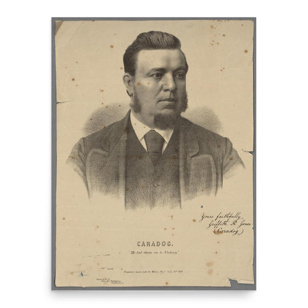 Griffith Rhys Jones Poster Print — Museum-Quality 18"x24" – Noveltees