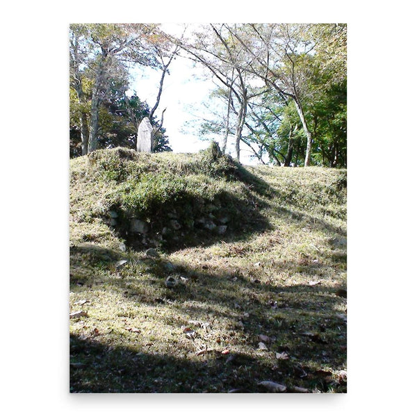 Hatano Hideharu Poster Print — Museum-Quality 18"x24" – Noveltees